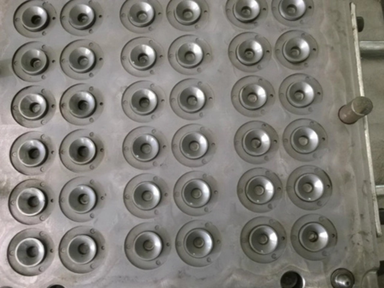 How to Clean Mold:A Ultimate Guide to Mold Cleaning